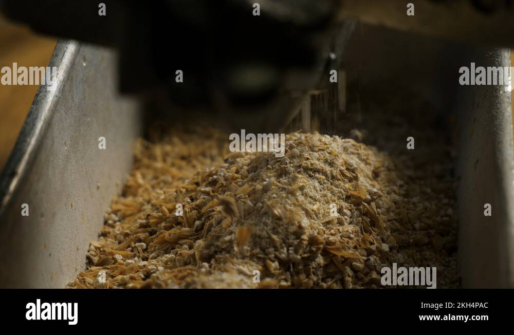 Makebeer Stock Videos & Footage - HD and 4K Video Clips - Alamy