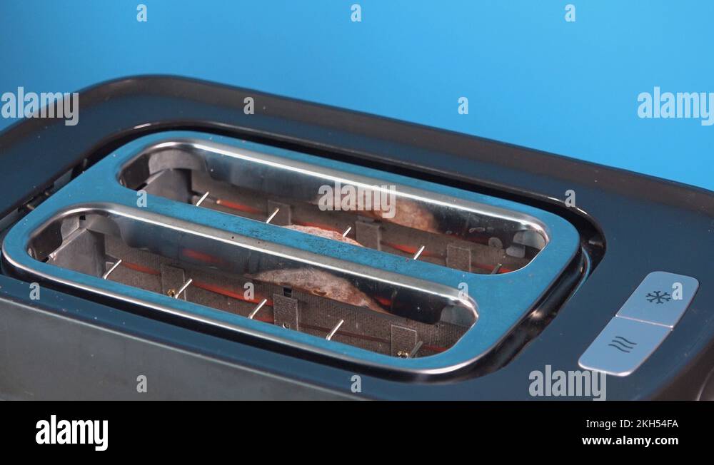 Burnt toast toaster Stock Videos & Footage - HD and 4K Video Clips - Alamy