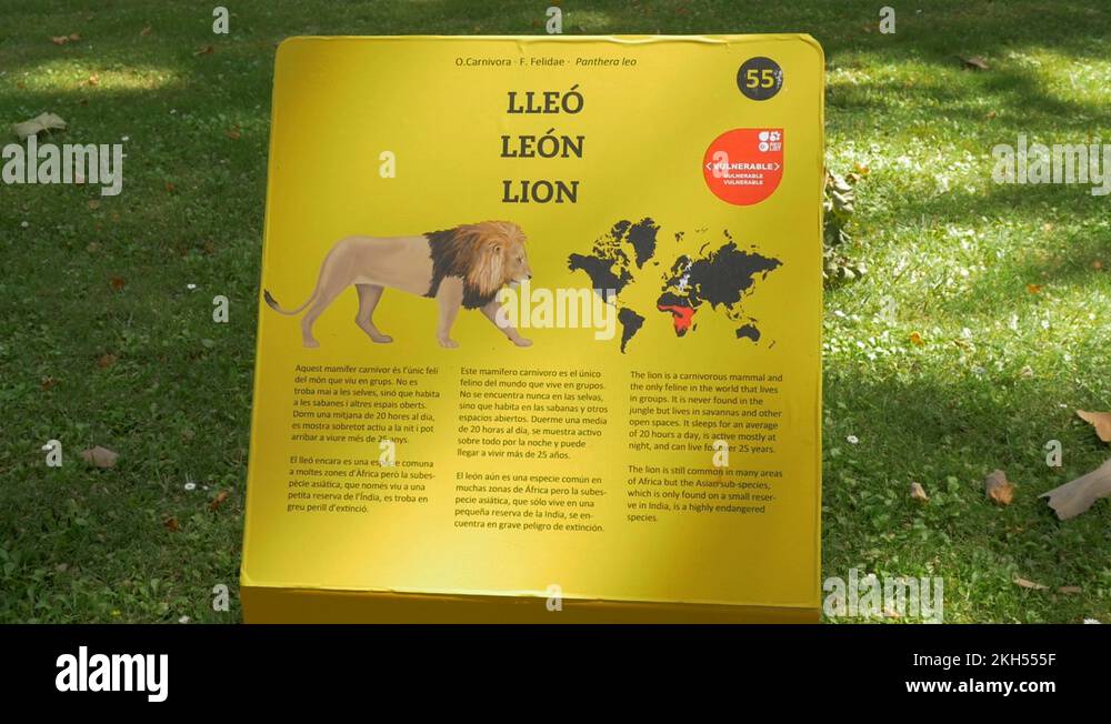 Mammal sign Stock Videos & Footage - HD and 4K Video Clips - Alamy