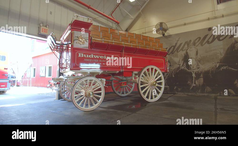 Budweiser wagon Stock Videos & Footage - HD and 4K Video Clips - Alamy