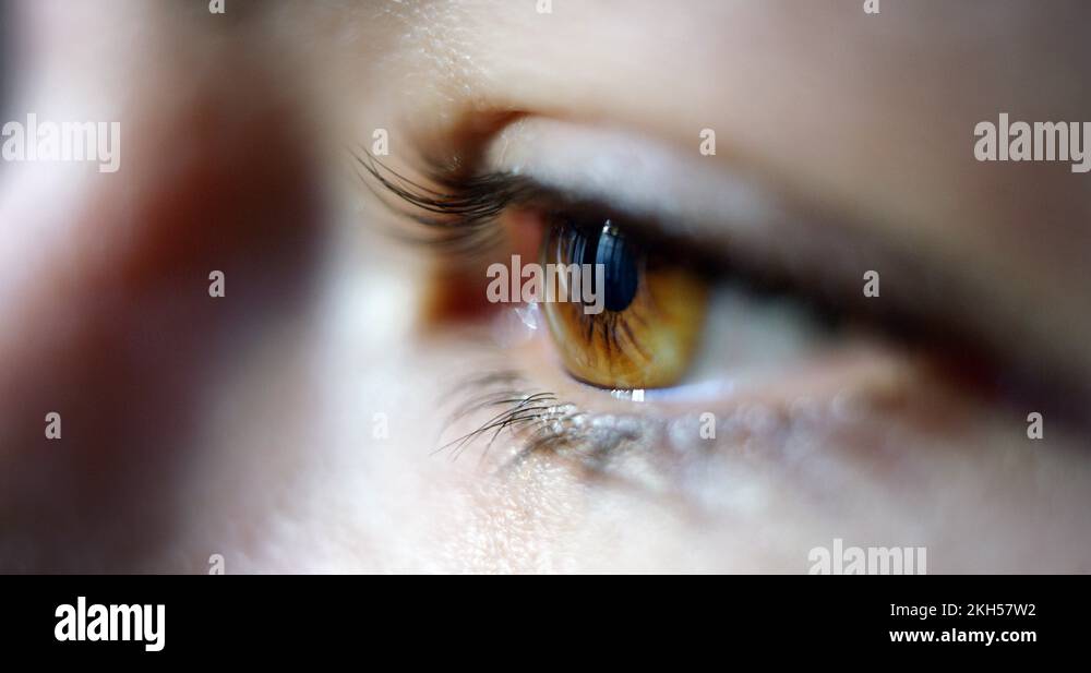 Close-up macro shot of young female human brown eye blinking in slow ...