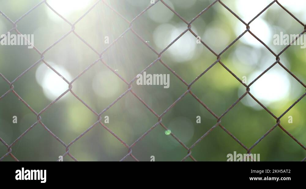 Fence flare Stock Videos & Footage - HD and 4K Video Clips - Alamy