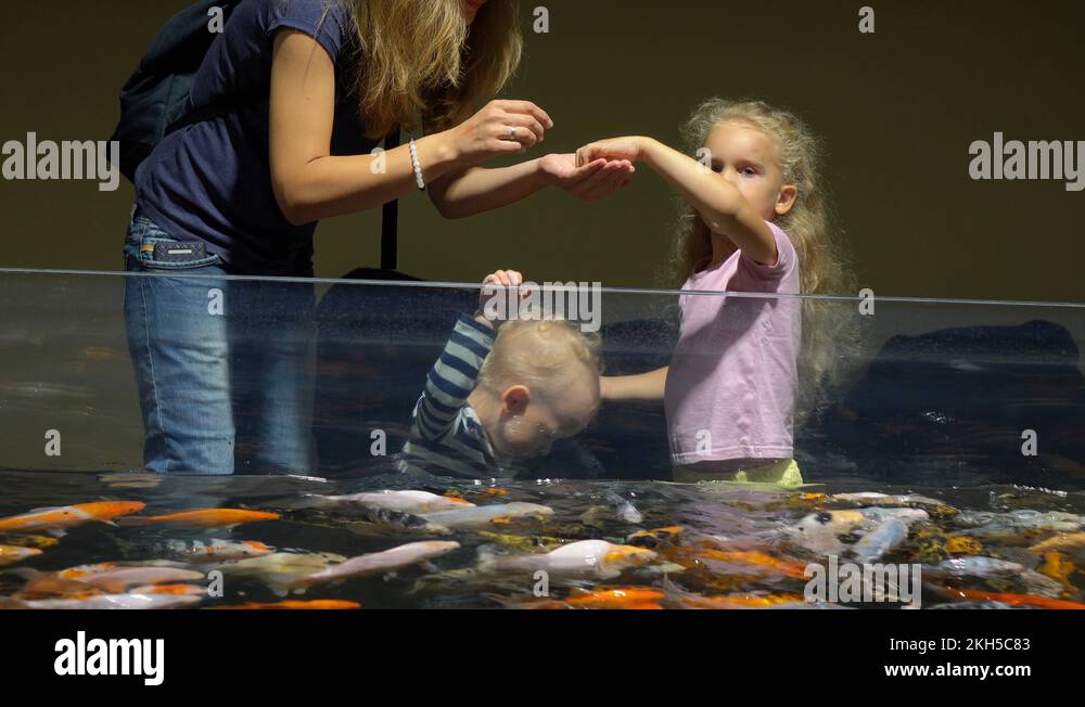 Mom with son and daughter feeding colorful fishes in big aquarium ...