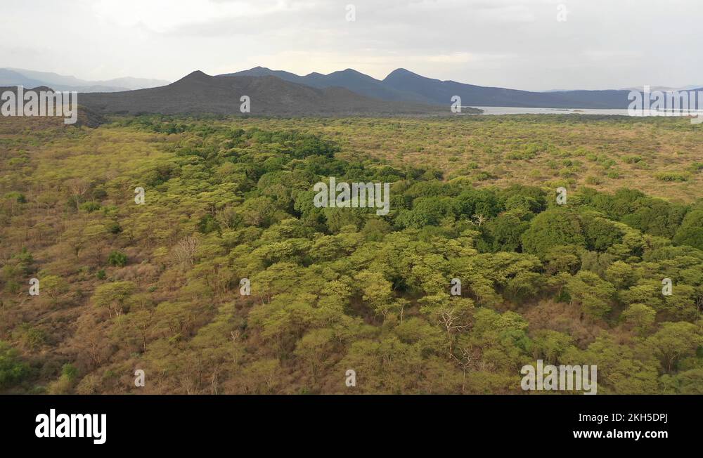 Beautiful scenery in africa Stock Videos & Footage - HD and 4K Video ...