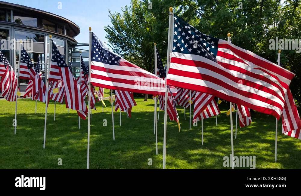 Mitchell island Stock Videos & Footage - HD and 4K Video Clips - Alamy