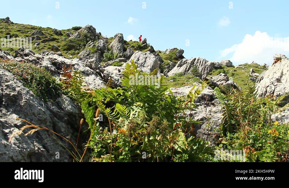 High pastures Stock Videos & Footage - HD and 4K Video Clips - Alamy