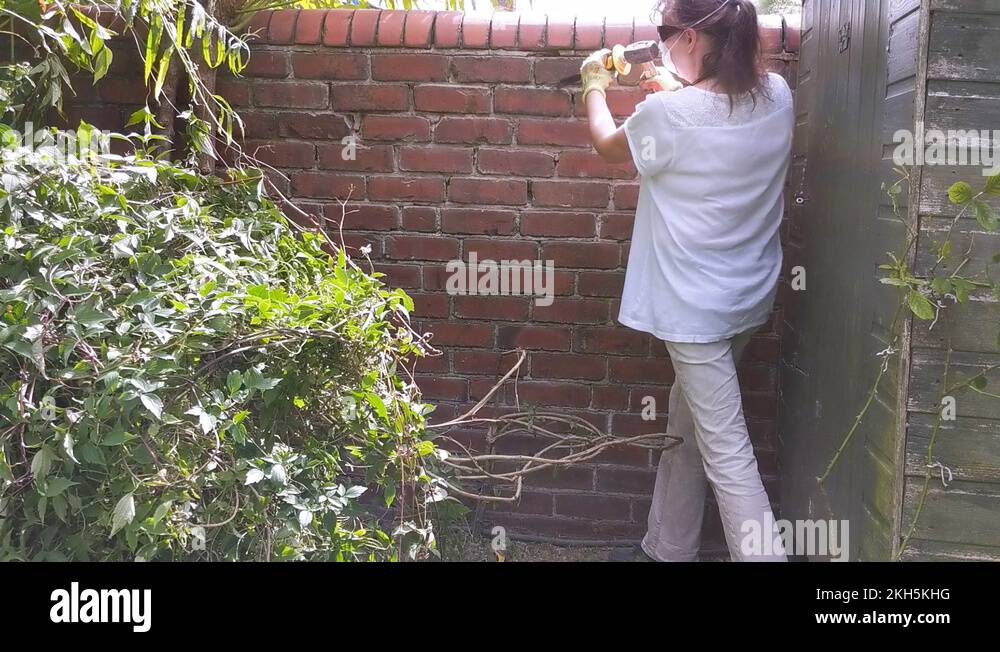 Red brick garden wall Stock Videos & Footage - HD and 4K Video Clips ...