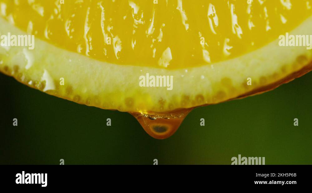 Close up or macro of a slice of lemon, a drop of water falls in slow ...