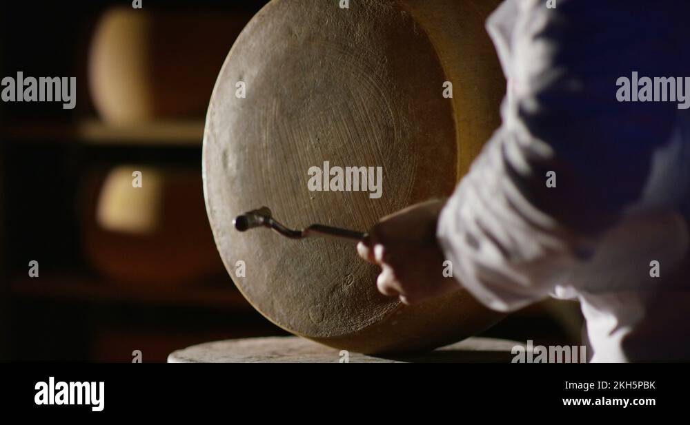 A cheese maker cuts the wheel of Italian Parmesan cheese for quality ...