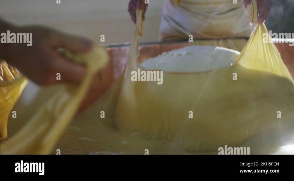 A cheese maker is mixing a milk and a curd to make a form of Parmesan ...