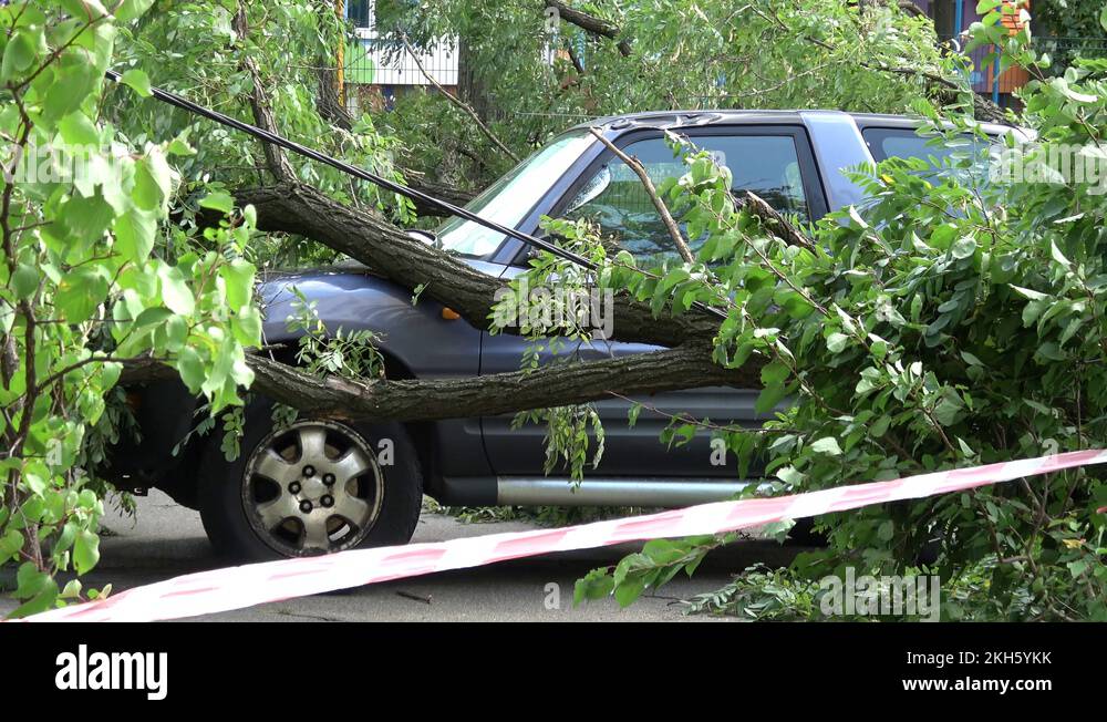 Zoom out a jeep damaged under a fallen tree Stock Video Footage - Alamy