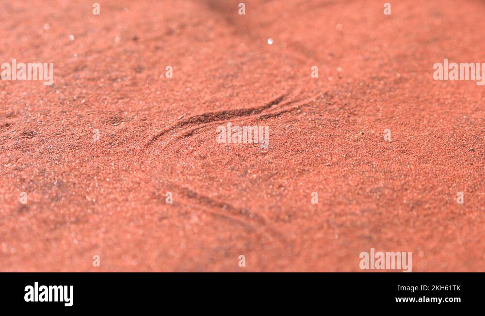 Snake vertical Stock Videos & Footage - HD and 4K Video Clips - Alamy