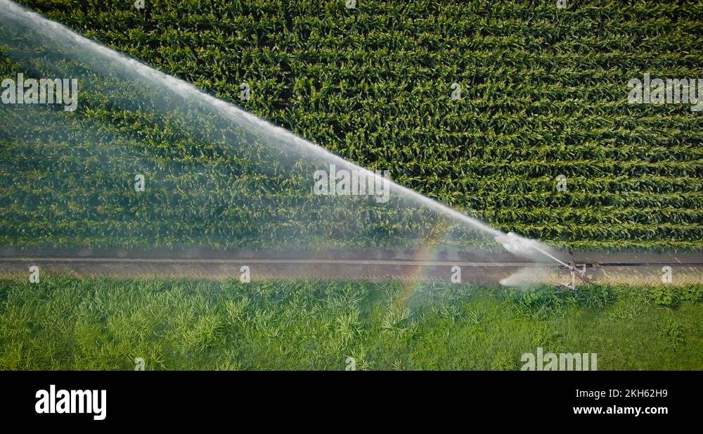 Corn field irrigation Stock Videos & Footage - HD and 4K Video Clips ...