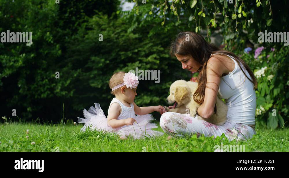 mother and a little girl playing and cuddling cute purebred Golden ...
