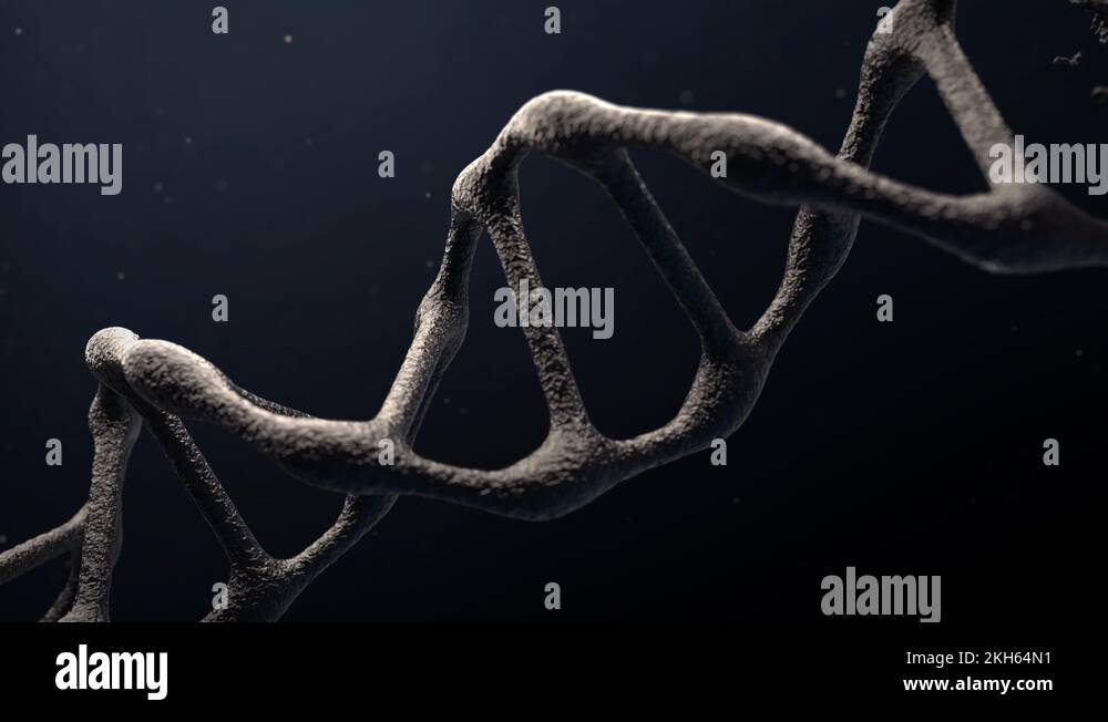 Cell activation Stock Videos & Footage - HD and 4K Video Clips - Alamy