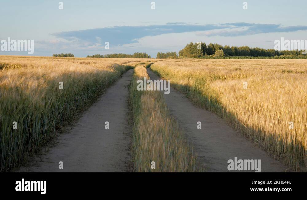 Rural rutted road Stock Videos & Footage - HD and 4K Video Clips - Alamy