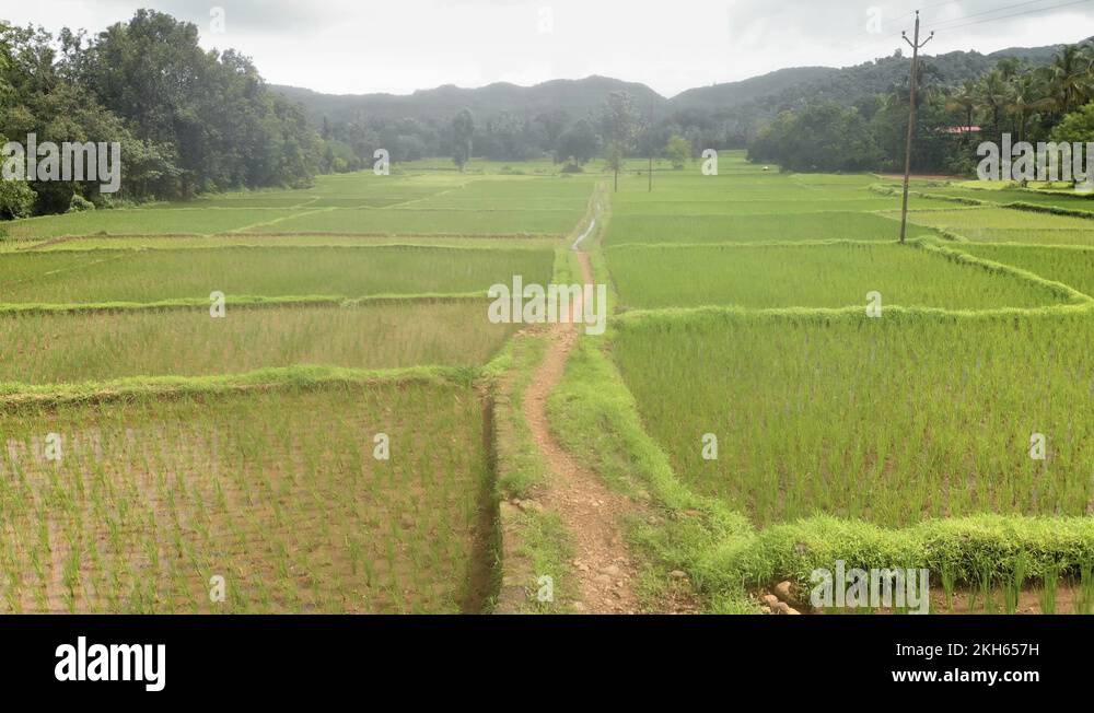 Pathway passing through grass Stock Videos & Footage - HD and 4K Video ...