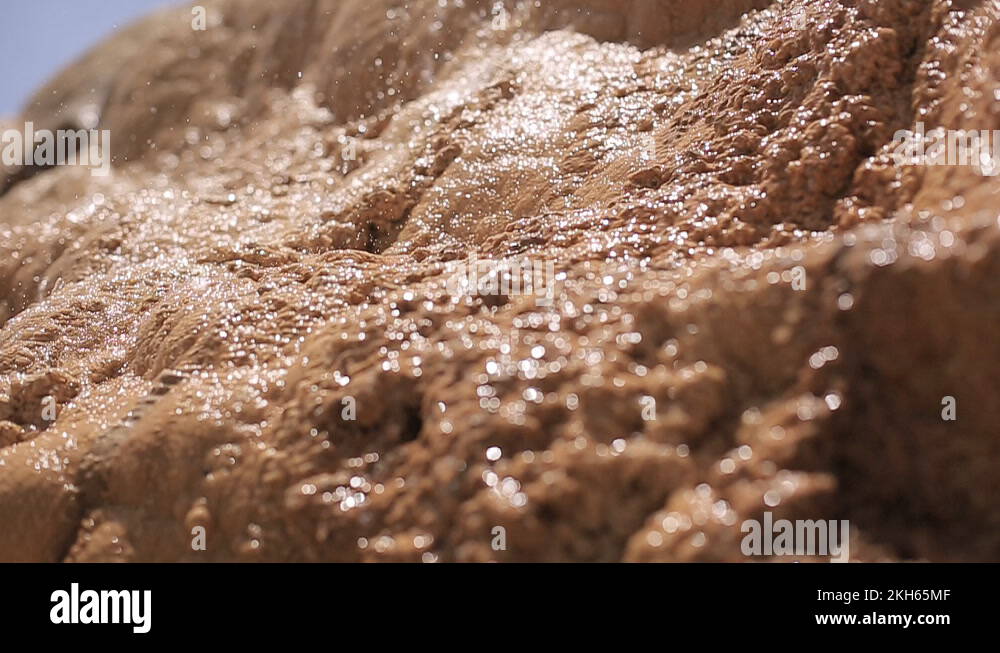 Unity for nature Stock Videos & Footage - HD and 4K Video Clips - Alamy