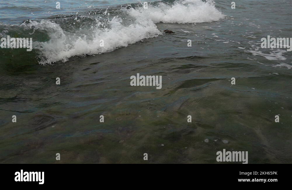 Wave in shallow sea Stock Videos & Footage - HD and 4K Video Clips - Alamy