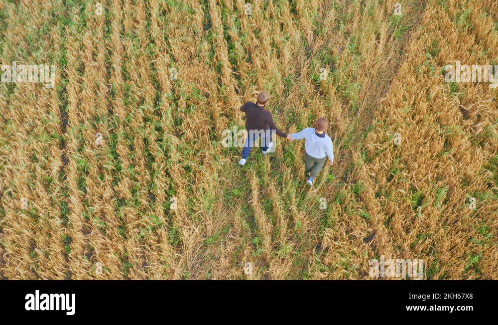 Two young men holding hands, walking along a cereal field. Aerial top ... Two young men holding hands, walking along a cereal field. Aerial top ...