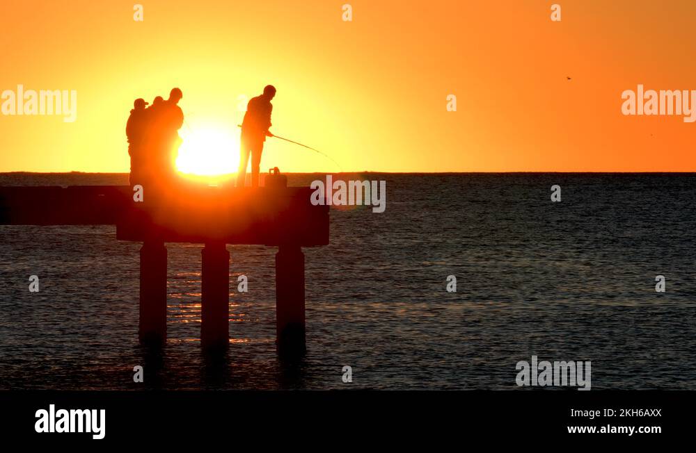 Fish landing pier Stock Videos & Footage - HD and 4K Video Clips - Alamy