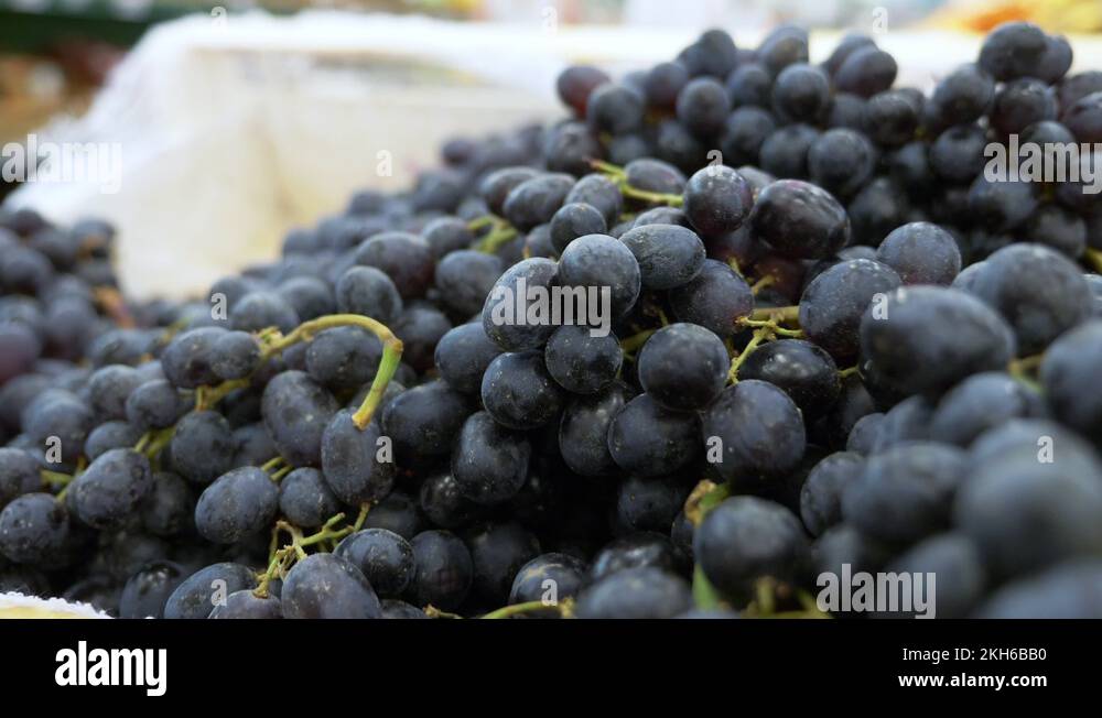 Grapes in boxes Stock Videos & Footage - HD and 4K Video Clips - Alamy