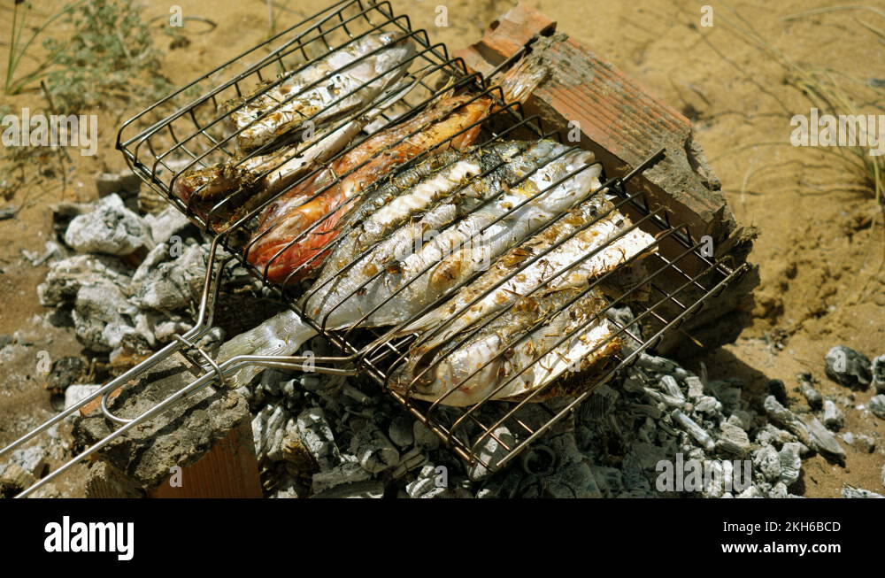 Mackerel, perch, sea bass, dorado, mullet, tuna. Fish grilled over ...