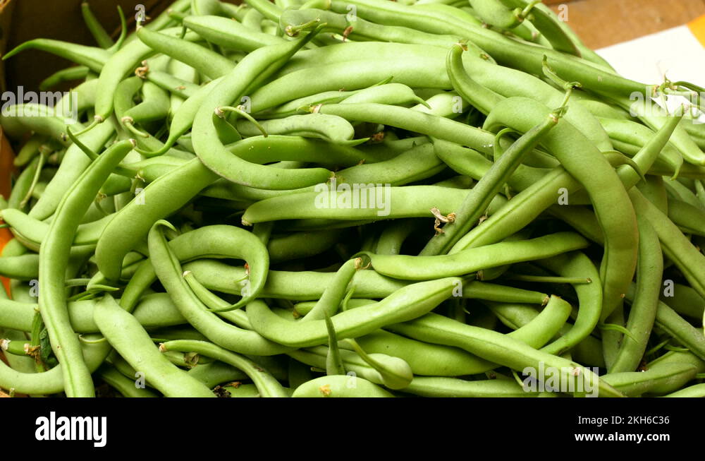 Fresh soya beans Stock Videos & Footage - HD and 4K Video Clips - Alamy