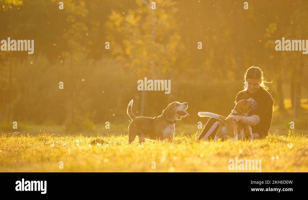 One arm hug Stock Videos & Footage - HD and 4K Video Clips - Alamy