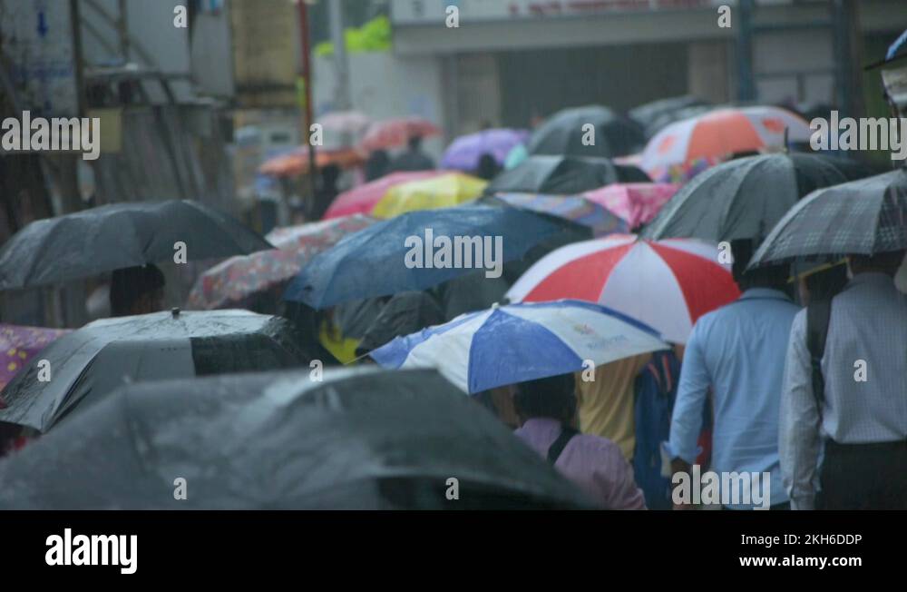 crowd people walking with umbrella during rainy season Stock Video ...