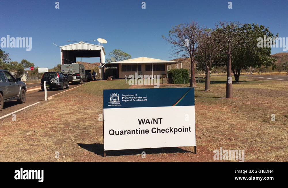 Pests australia Stock Videos & Footage - HD and 4K Video Clips - Alamy