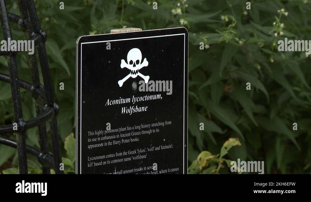 Poisonous plant sign Stock Videos & Footage - HD and 4K Video Clips - Alamy