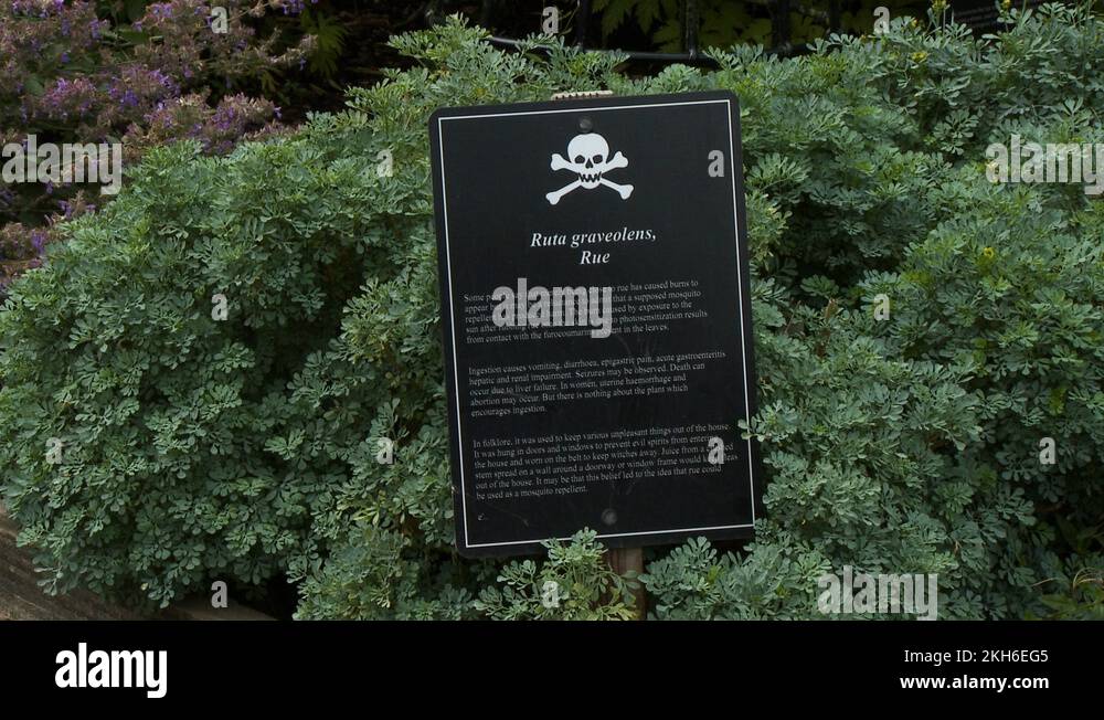 Toxic warning sign Stock Videos & Footage - HD and 4K Video Clips - Alamy