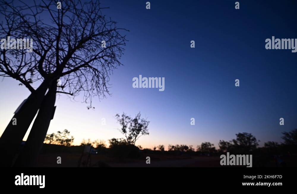 Boab tree silhouette Kimberley Western Australia 01 Stock Video Footage ...