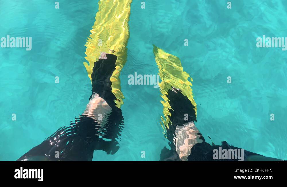 Flipper fins Stock Videos & Footage - HD and 4K Video Clips - Alamy