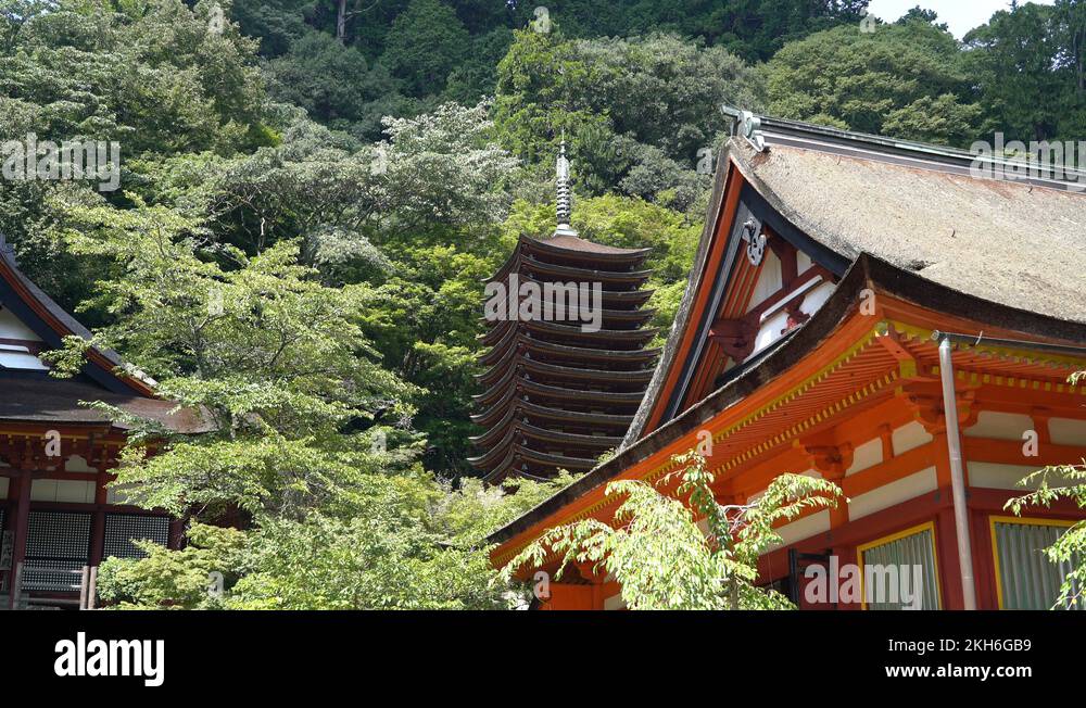 Tanzan Shrine, Nara in Japan Stock Video Footage - Alamy