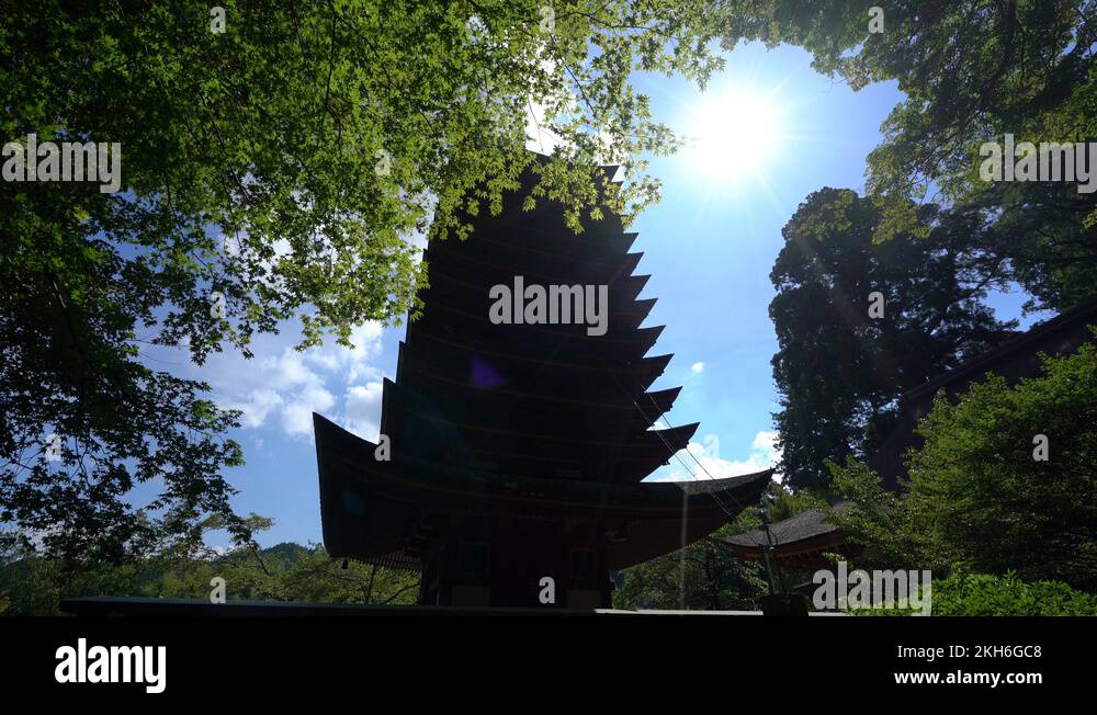 Tanzan Shrine, Nara in Japan Stock Video Footage - Alamy