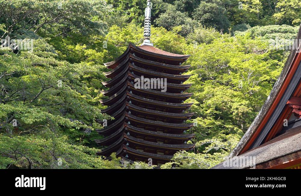 Tanzan Shrine, Nara in Japan Stock Video Footage - Alamy