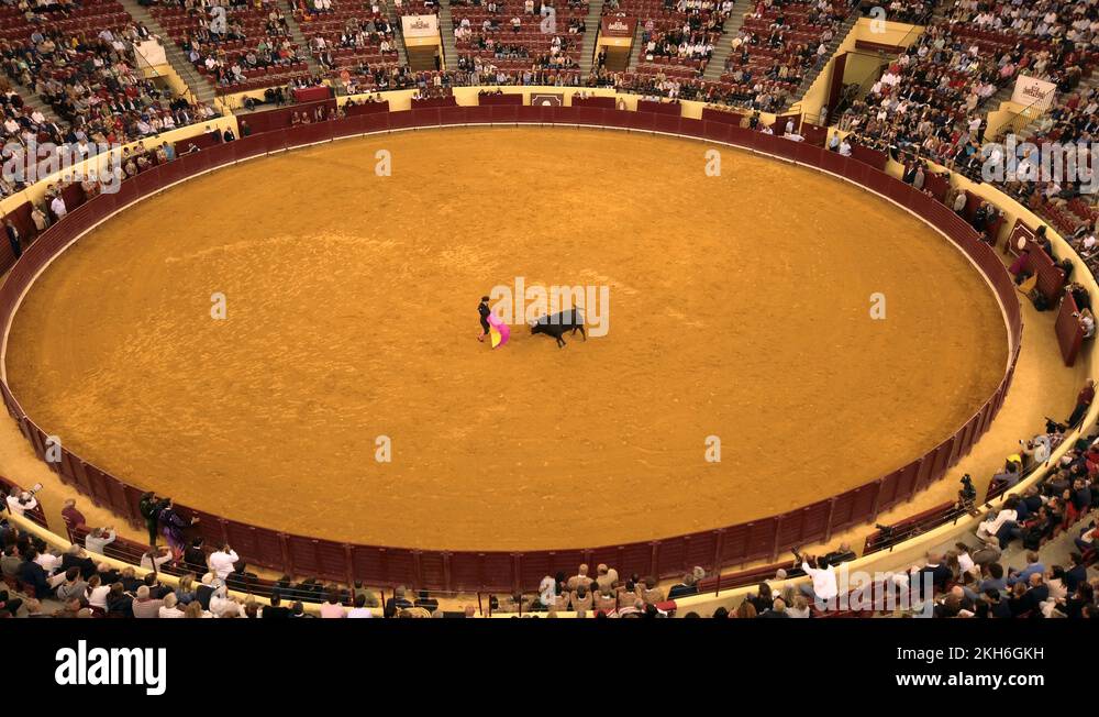 Bullfighting matador history historical Stock Videos & Footage - HD and ...