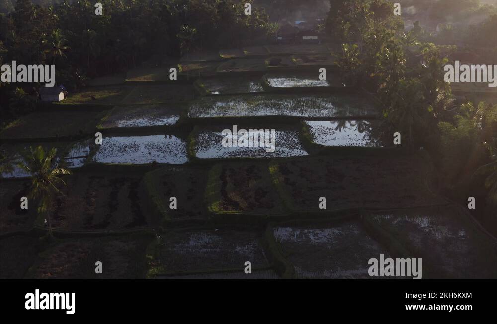 Puddy Stock Videos & Footage - HD and 4K Video Clips - Alamy