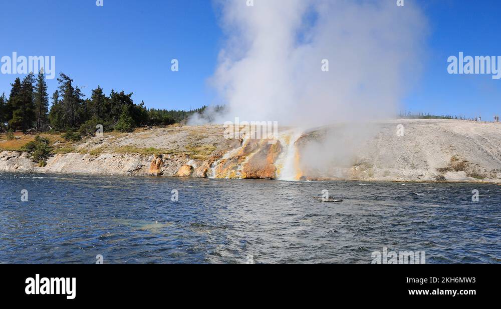 Bird of yellowstone Stock Videos & Footage - HD and 4K Video Clips - Alamy