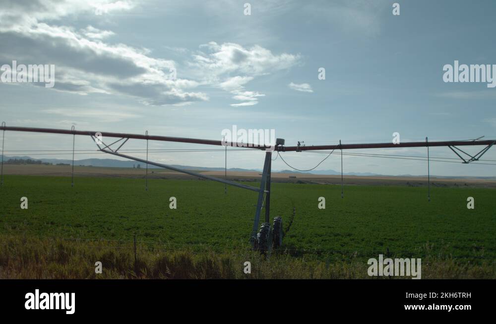 Dolly agriculture Stock Videos & Footage - HD and 4K Video Clips - Alamy