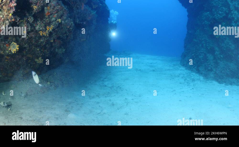 cave diving underwater scuba divers exploring cave dive caverns tunnels ...