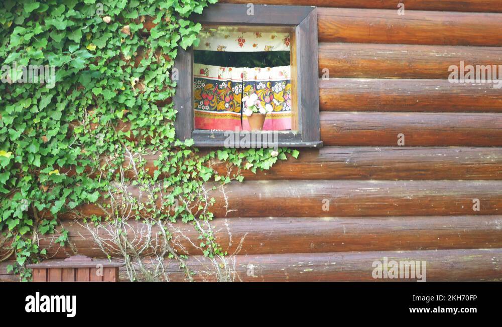 White fence window hedge Stock Videos & Footage - HD and 4K Video Clips ...
