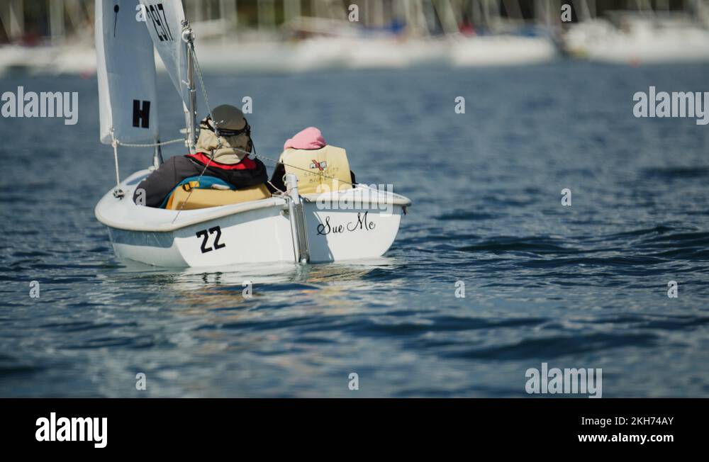 White spots backs Stock Videos & Footage - HD and 4K Video Clips - Alamy