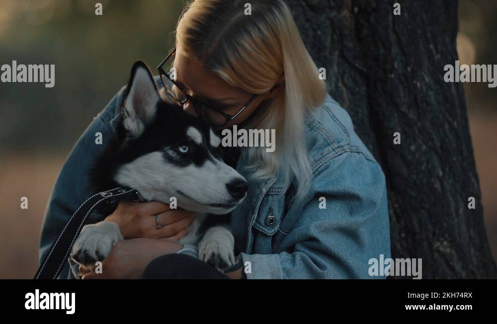 Hug pet a dog Stock Videos & Footage - HD and 4K Video Clips - Alamy
