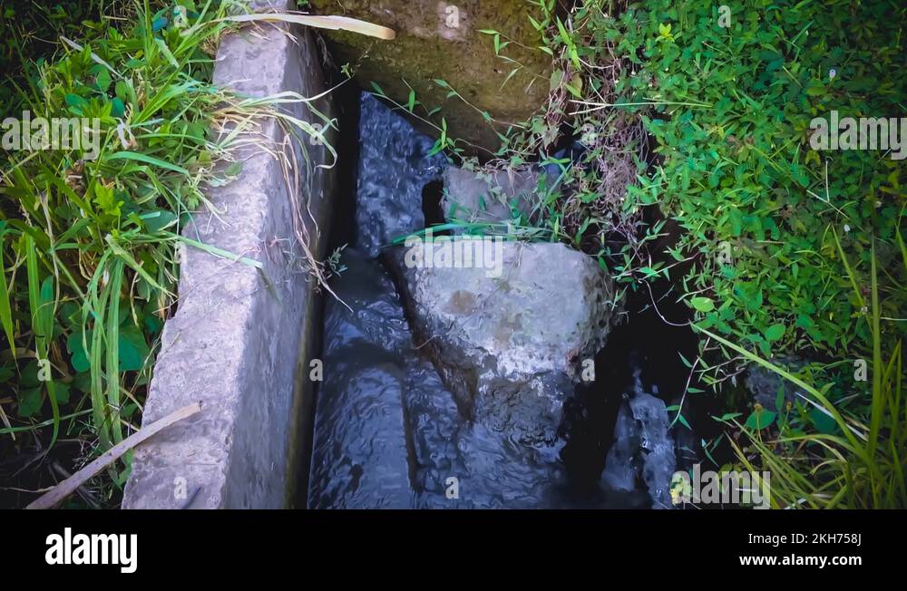 Environment flow Stock Videos & Footage - HD and 4K Video Clips - Alamy
