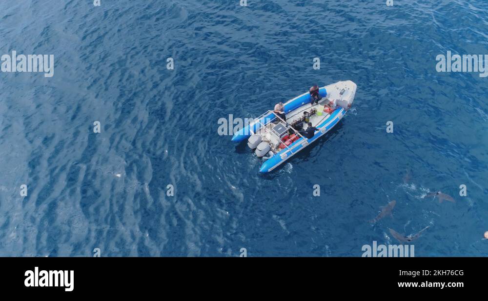 Swimming diving boat Stock Videos & Footage - HD and 4K Video Clips - Alamy