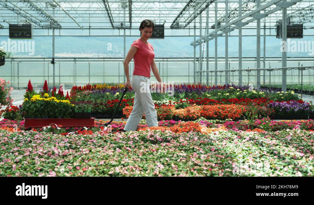 Carry nursery Stock Videos & Footage - HD and 4K Video Clips - Alamy