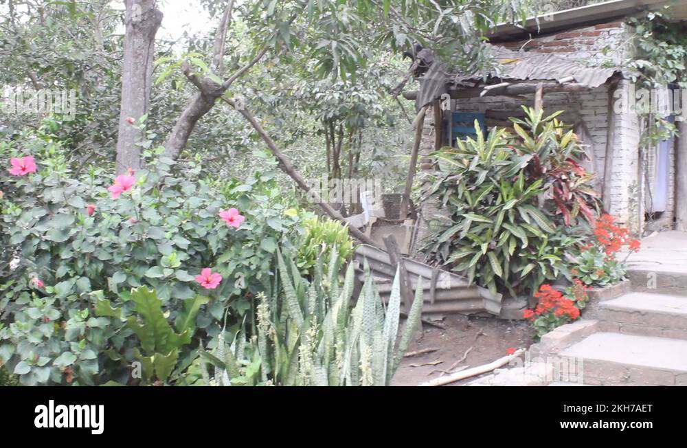 Poverty Stock Videos & Footage - HD and 4K Video Clips - Alamy